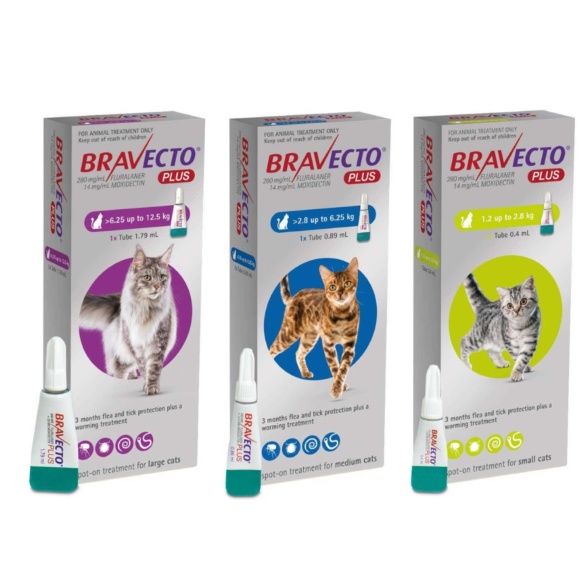 Bravecto Plus Gatos | Albet Distribución Veterinaria Online | MSD