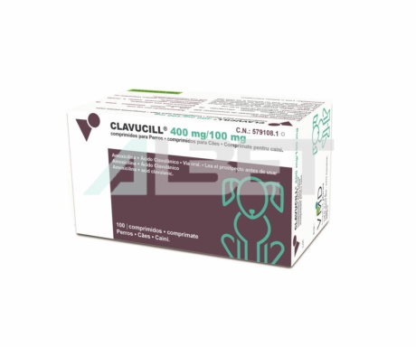 Clavucill 50mg | Albet Distribució Veterinària Online