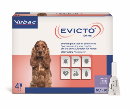 EVICTO GATOS - Farmacia Veterinaria Online Albet