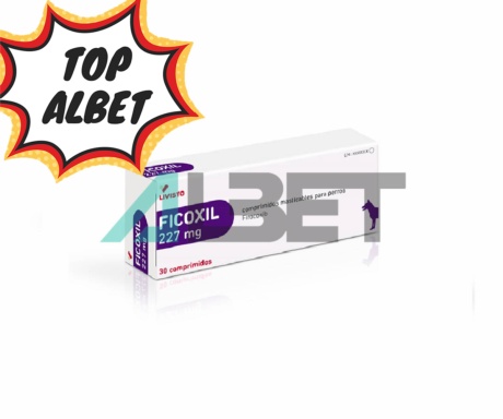 Ficoxil Envase Clínico 180c |Albet Distribuidora Veterinaria Online