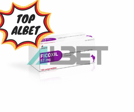 Firodyl 250mg | Albet Distribució Veterinària Online | Ceva