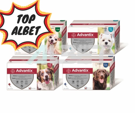 Advantix 24 pipetas | Albet Distribuidora Veterinaria Online