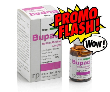 Bupaq 0.3mg/ml | Albet Distribució Veterinària Online