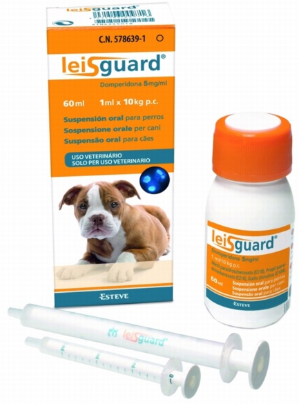LEISGUARD