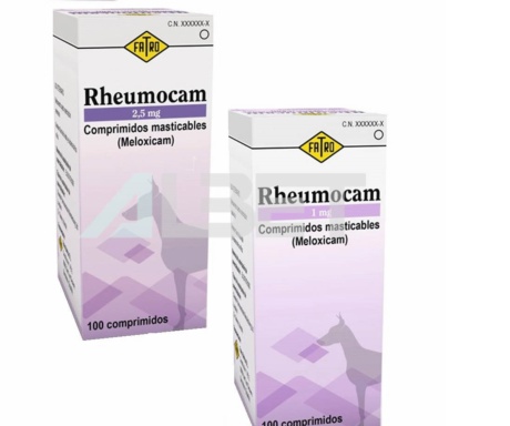 RHEUMOCAM ORAL GATO
