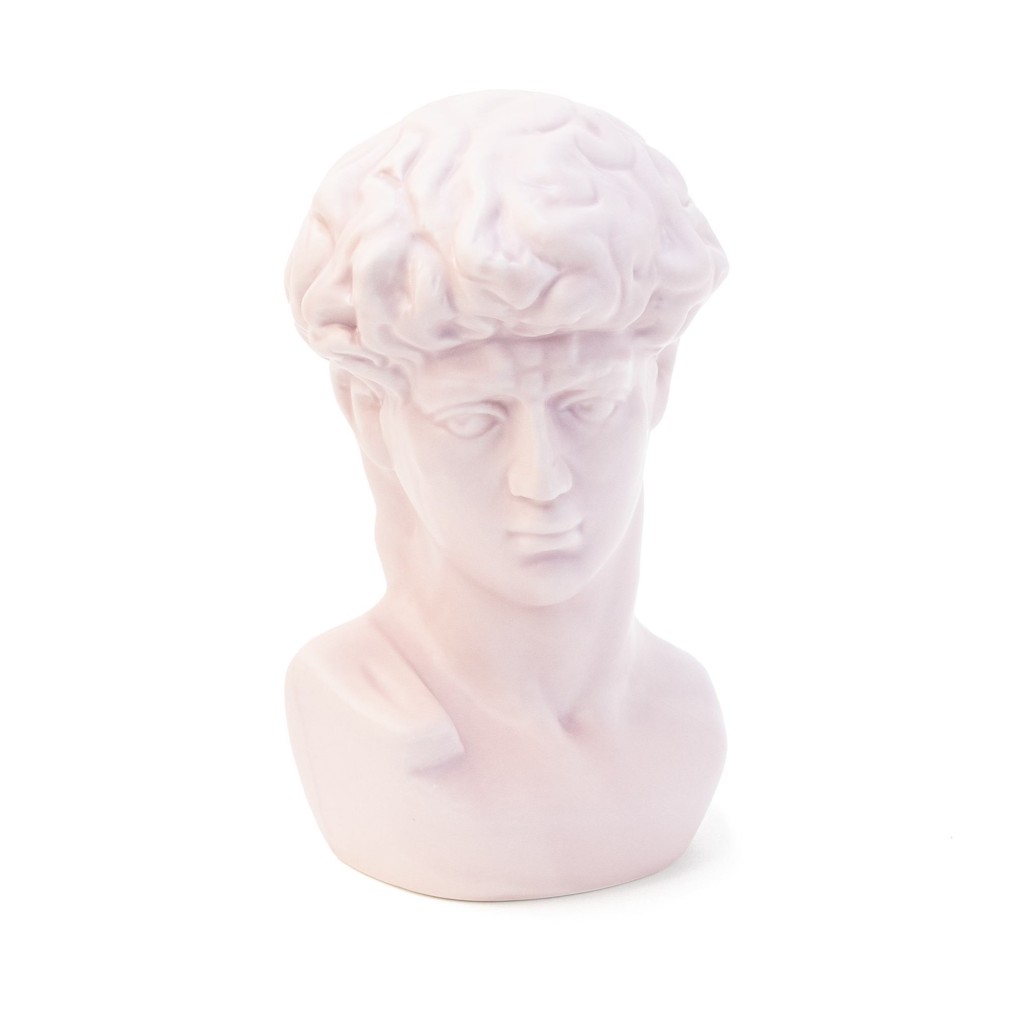 DAVID MIGUEL ANGEL PINK BUST HF