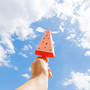 PINK WATERMELON MINI FAN HF