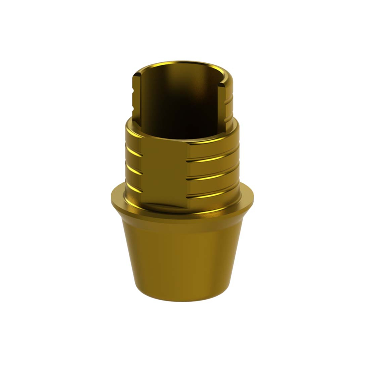 Dynamic TiBase R G1.5 Comp.0007