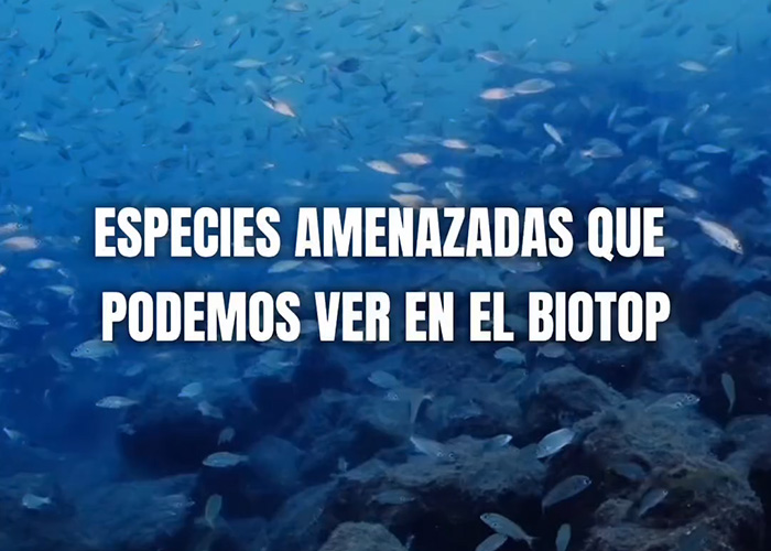 En Dynamic Abutment Solutions colaboramos con el planeta