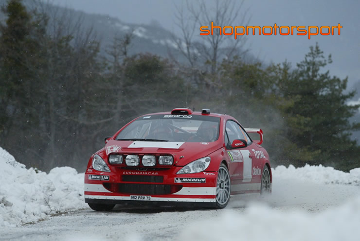 PEUGEOT 307 WRC / CARRERA 25731 / MARCUS GRONHOLM-TIMO RAUTIAINEN