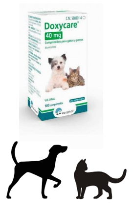 DOXICICLINA 40 mg