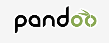 PACK 50 PAJITAS DESECHABLES DE BAMBOO PANDOO