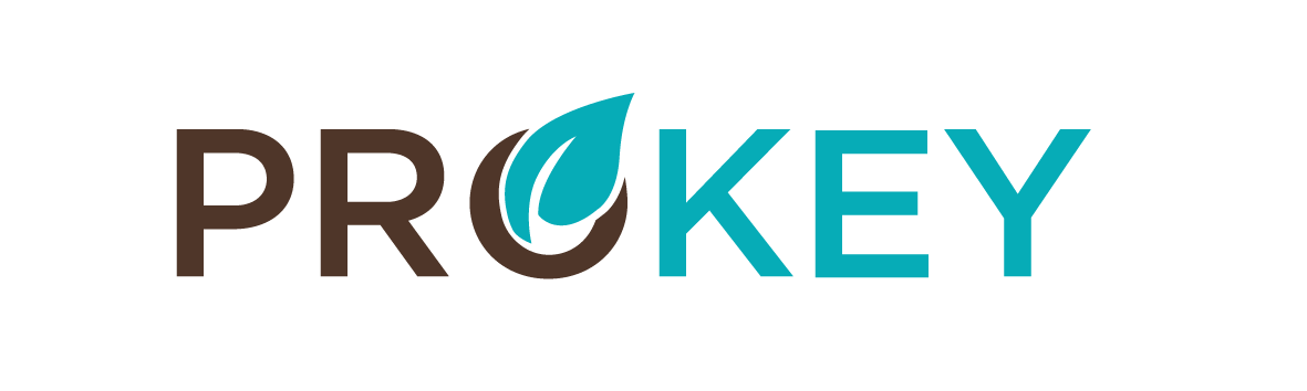 PROKEY