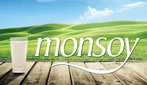 pack 6 - BEBIDA DE AVENA SIN GLUTEN 1 LT MONSOY